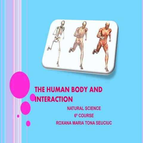 The human body and interaction | PPTX