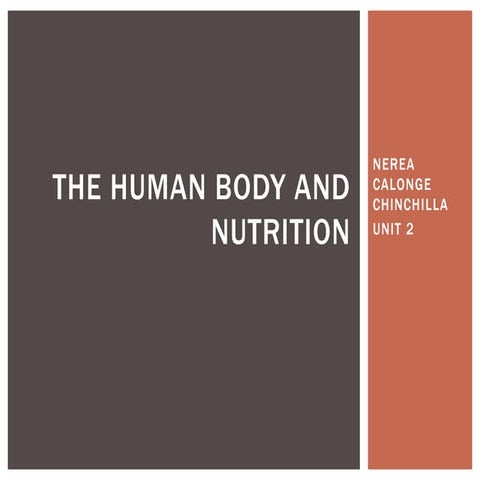 The human body and nutrition | PPTX