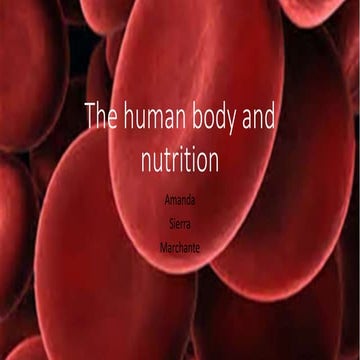 The human body and nutrition | PPTX