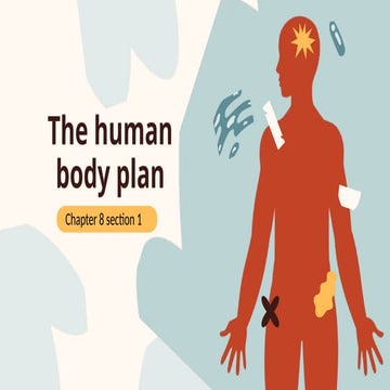 The human body Plan.pptxdwswwddddddwwwww | PPTX