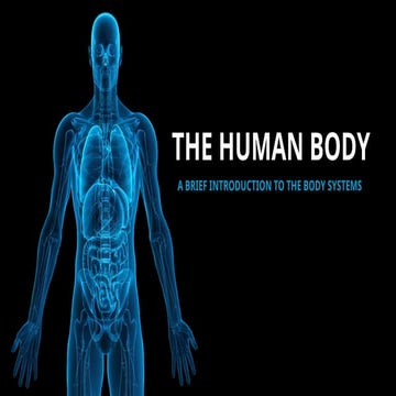 The human body (introduction - 5/6 grade curriculum). | PPTX