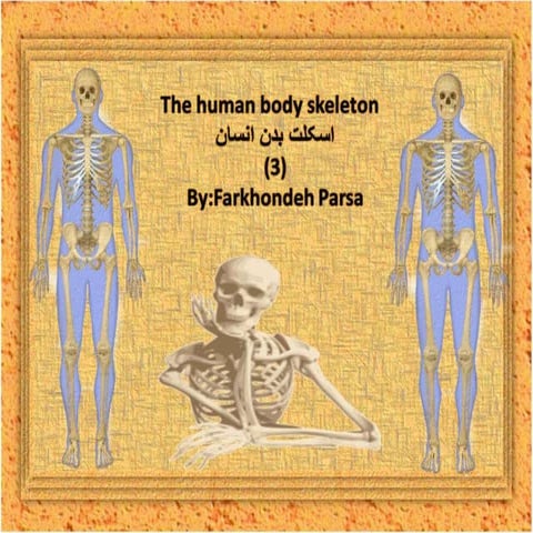 The human body skeleton- 3 | PPTX