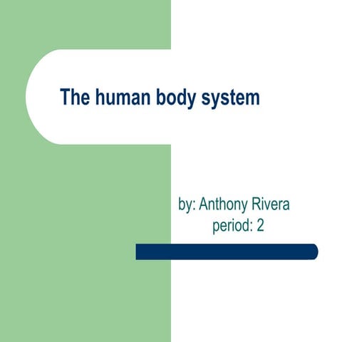 The human body system | PPT