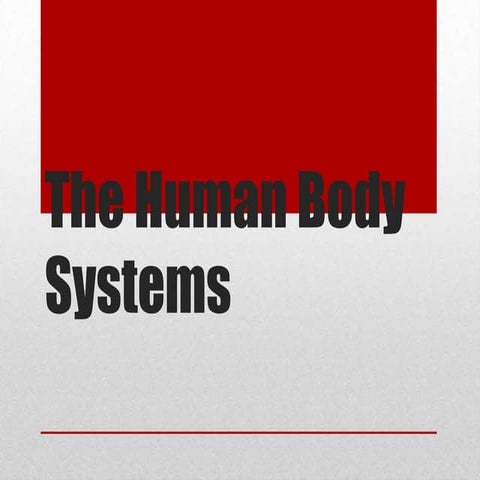The human body systems - ppt by Janella Yecyec | PPT