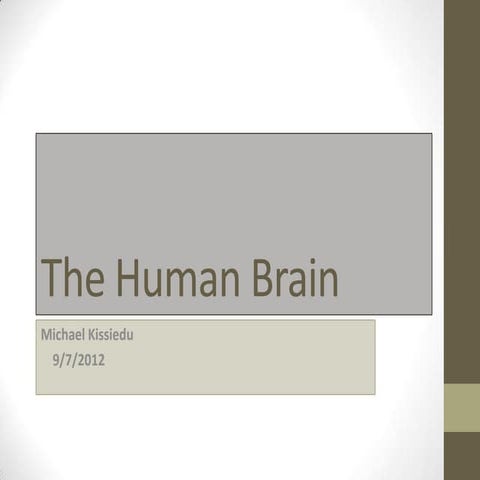 Importance of brain development for better tomorrow part 1 | PPTX