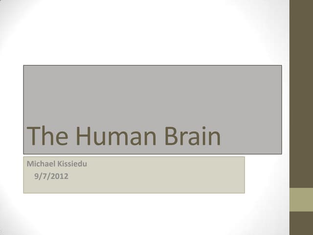Our Amazing Brain | PPTX