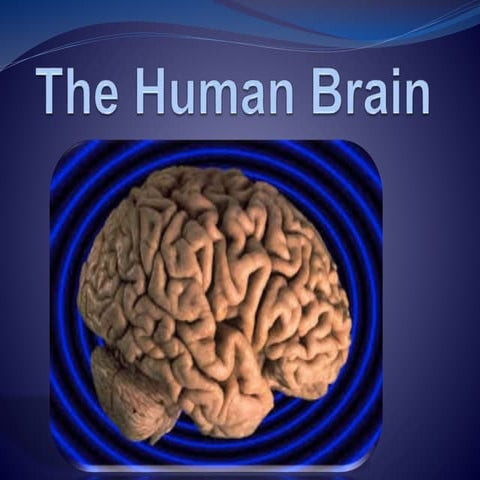 The human brain | PPTX | Brain and Nervous System Disorders | Diseases ...