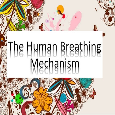 The human breathing mechanism | PPTX