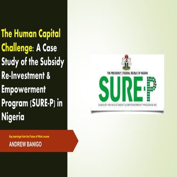 The Human capital challenge: A Case Study of the Subsidy Re-investment ...