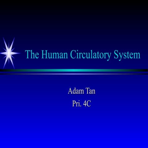 The human circulatory system | PPT