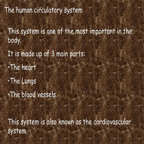 The human circulatory system | PPT
