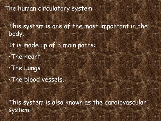 Circulatory system | PPT
