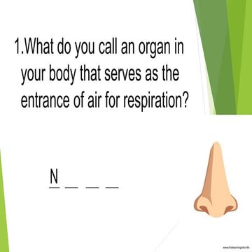 Quiz about Respiratory and Circulatory.pptx