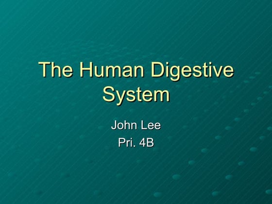13 digestive system | PPT