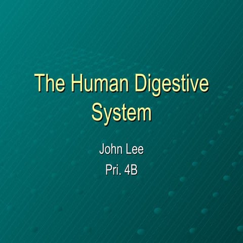 The human digestive system | PPT