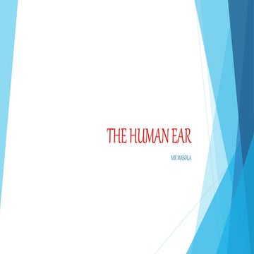 The human ear | PPTX