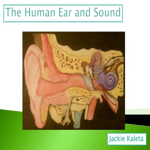The Human Ear and Sound | PPTX