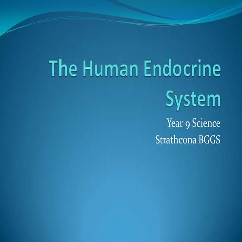 The Human Endocrine System | PPT
