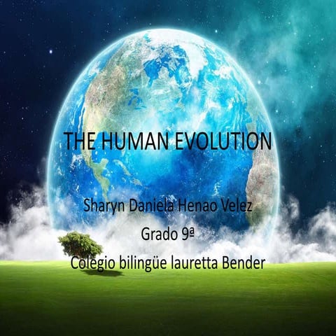 The human evolution | PPTX
