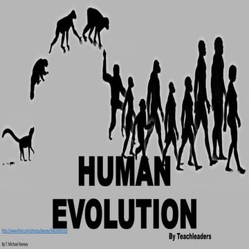 Evolution of Humans in 40 Characters | PPT