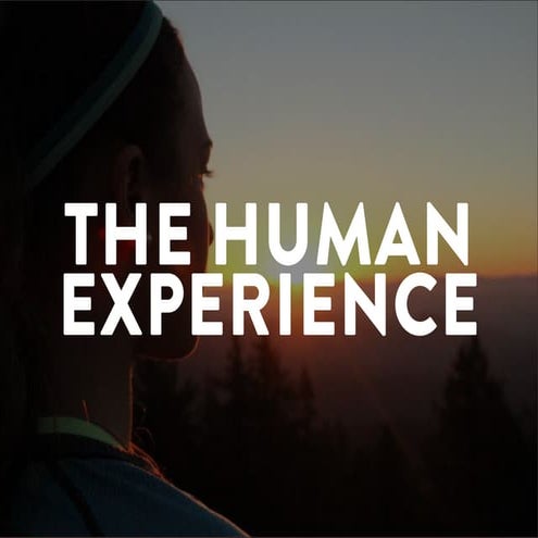 The Human Experience | PDF