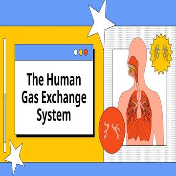 The Human Gas Exchange System Educational Video in Yellow Blue Simple ...