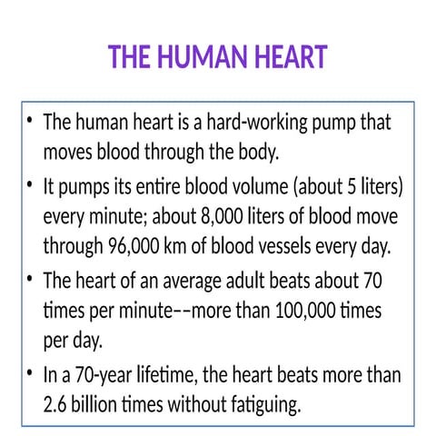 THE HUMAN HEART & Electrical conduction System of the Heart.pptx