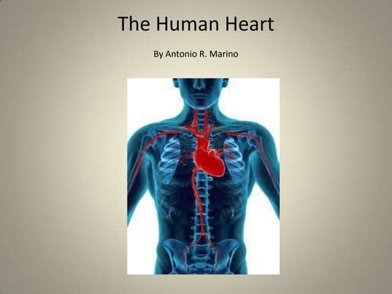 Human Heart: Structure, Function and Health Implications | PPT