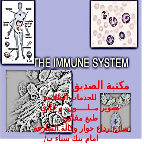 The Human Immune System.ppt............... | PPT