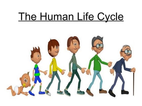 The 8 Life Processes & Homeostasis - Living Environment/Biology | PPTX