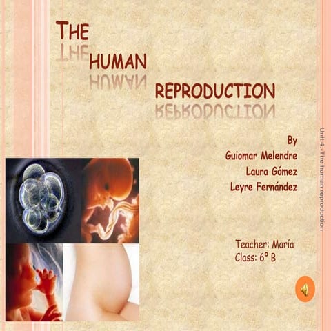 human reproduction 3 | PPT