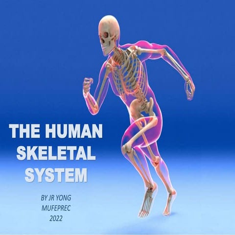 THE HUMAN SKELETAL SYSTEM.pptx