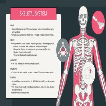 The Human Skeletal System Science Group Work.pptx