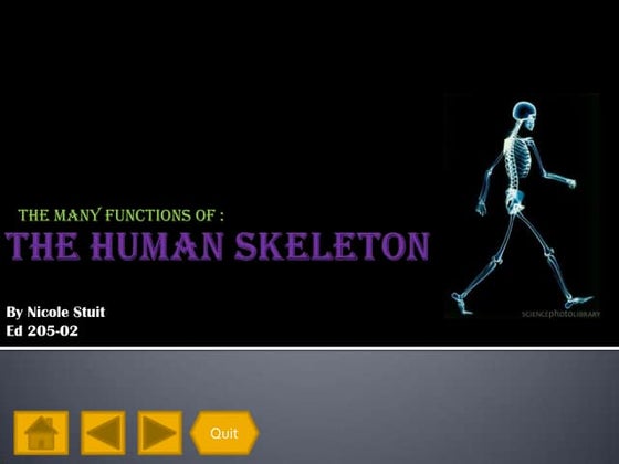 Anatomy & Physiology Lecture Notes - Skeletal system | PPT | Death ...