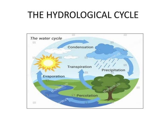 Precipitation, types and their different forms. | PPT