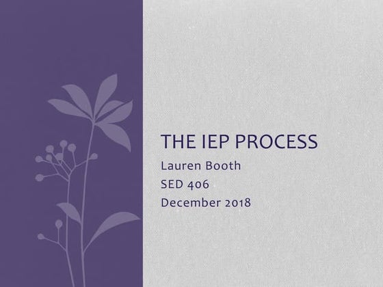 The Individualized Education Program (IEP) Process.pdf