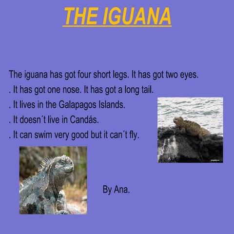 The Iguana by Ana | PPT | Reptiles | Pets