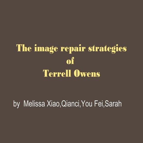 The image repair strategies | PPT