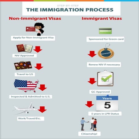 The Immigration Process Infographic | PDF