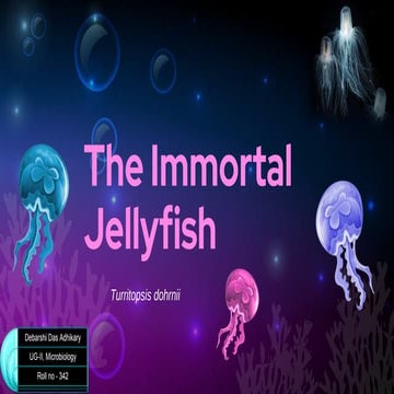 THE IMMORTAL JELLYFISH.pptx