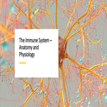 The Immune System – Anatomy and Physiology BCCM dentistry.pptx ...
