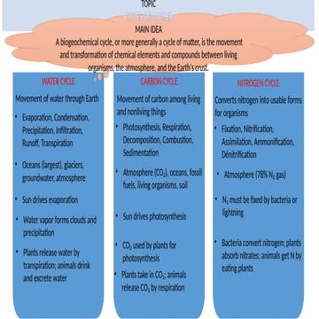 Understanding Biogeochemical Cycles: Carbon, Water, and Nitrogen ...
