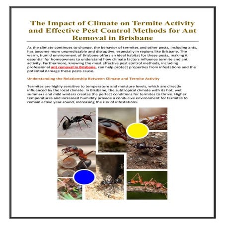 The Impact of Climate on Termite Activity and Effective Pest Control Methods for Ant Removal in ...