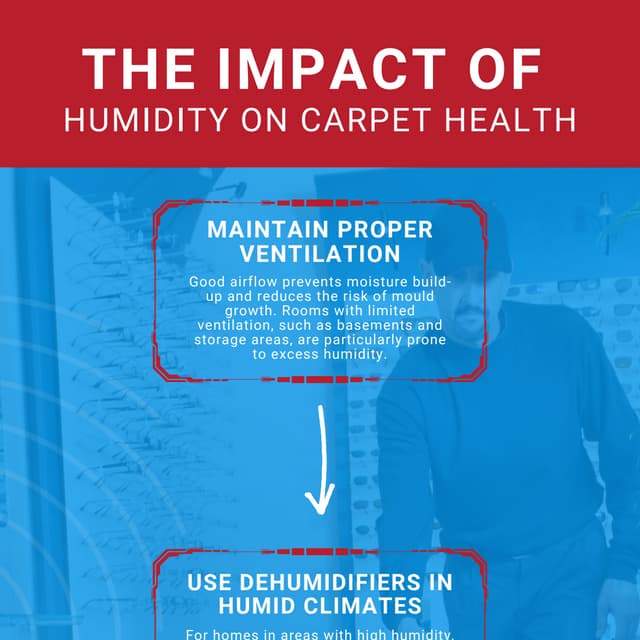 The Impact of Humidity on Carpet Health.pdf