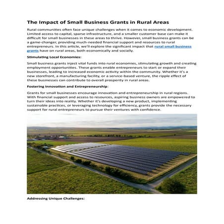 The Impact of Small Business Grants in Rural Areas.pdf