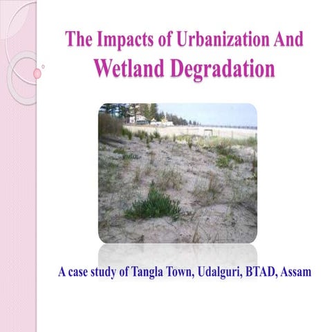 The Impacts Of Urbanization And Wetland Degradation | PPTX