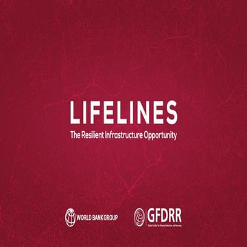 Infrastructure Resilience Infographic | PDF
