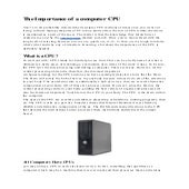 The Importance of a computer CPU.pdf