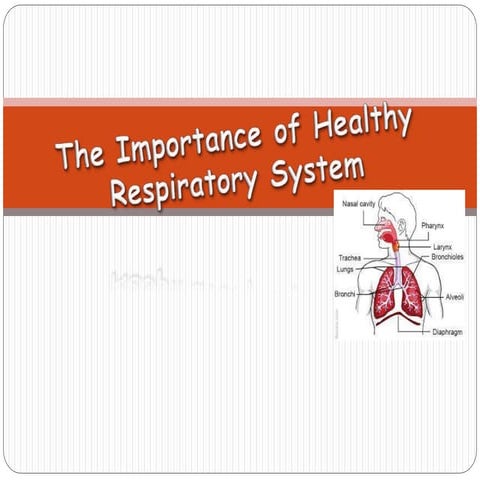 The importance of healthy respiratory system | PPTX