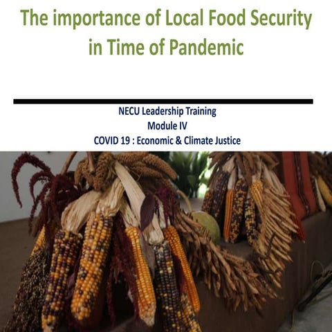 The importance of local food security | PPTX